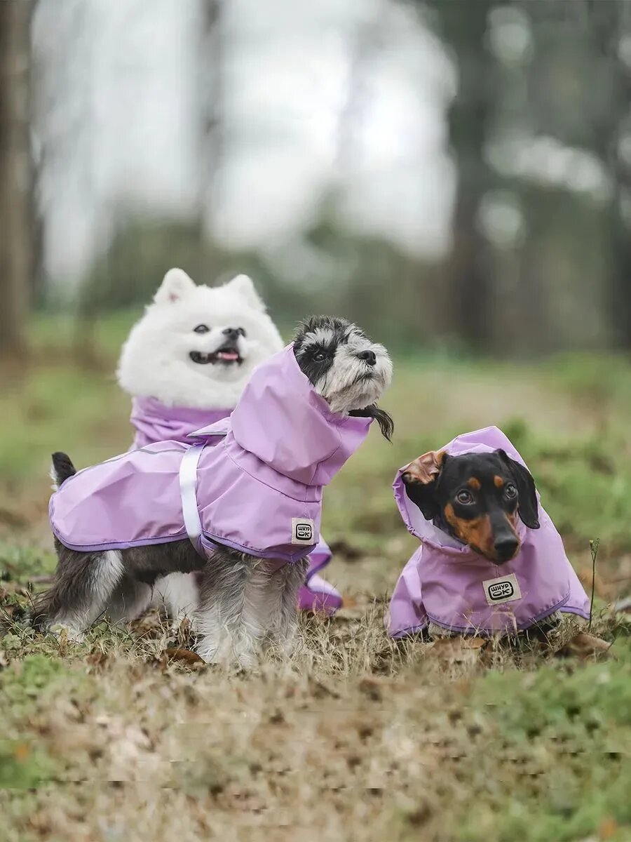 Дождевик попона для собак с рисунками при намокании