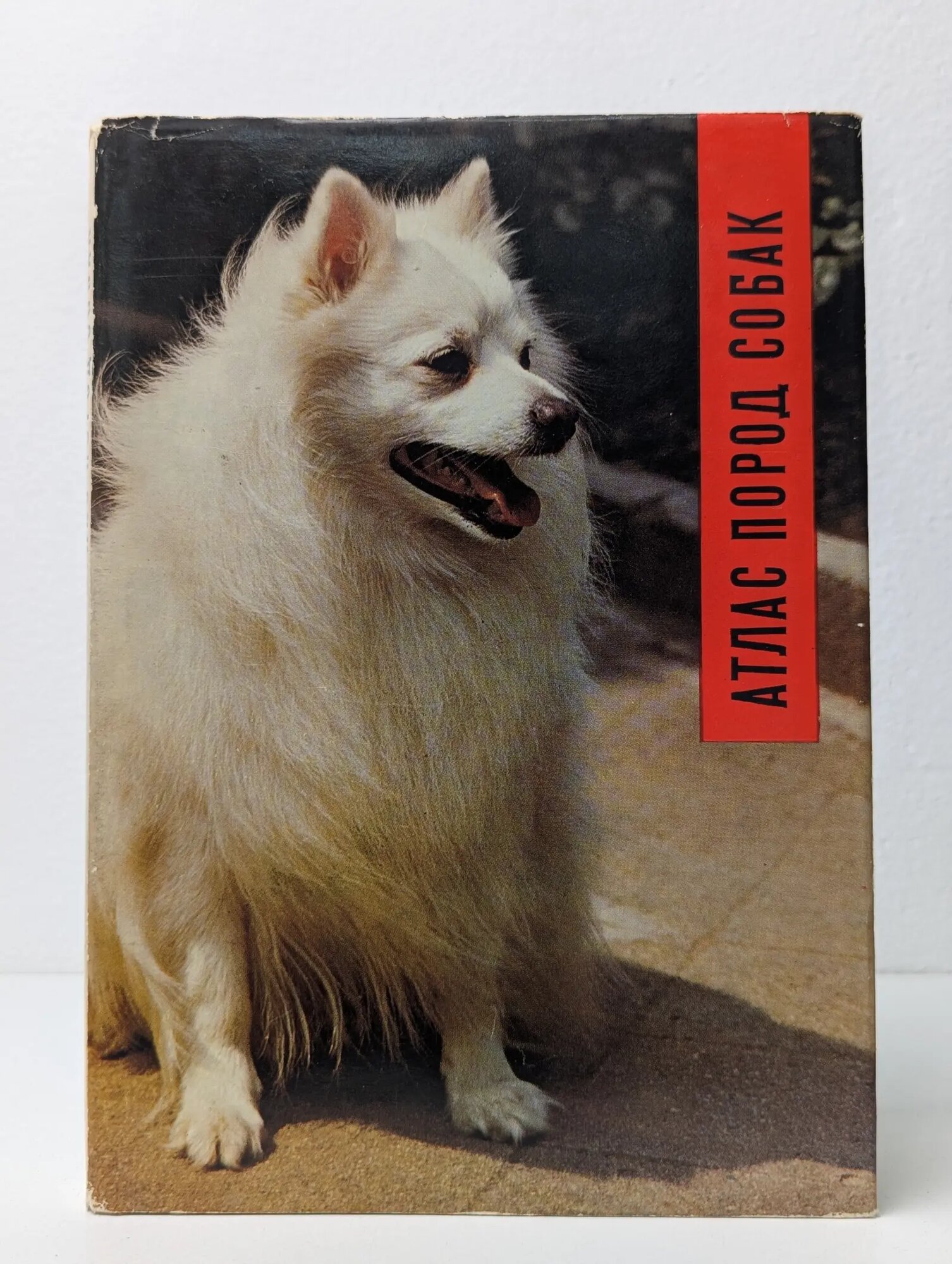 Атлас пород собак Найман Йозеф, Новотны Йозеф 1976