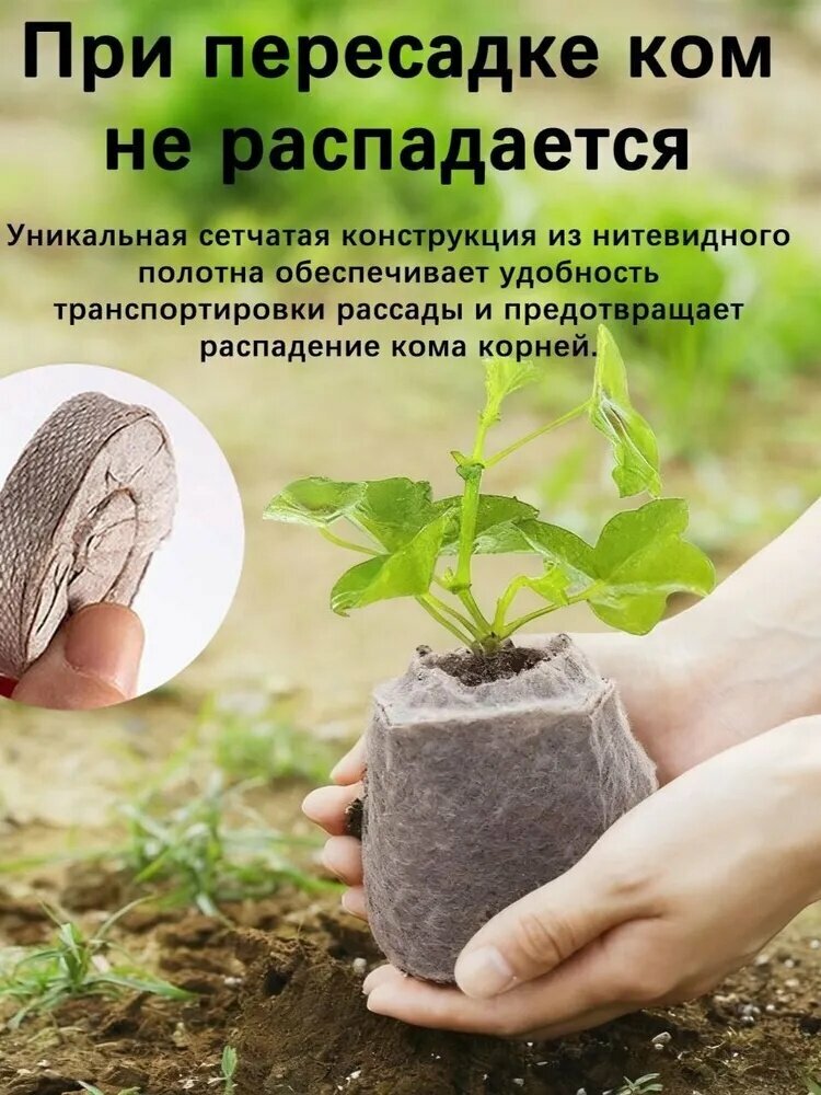 Таблетки торфяные — фото 1