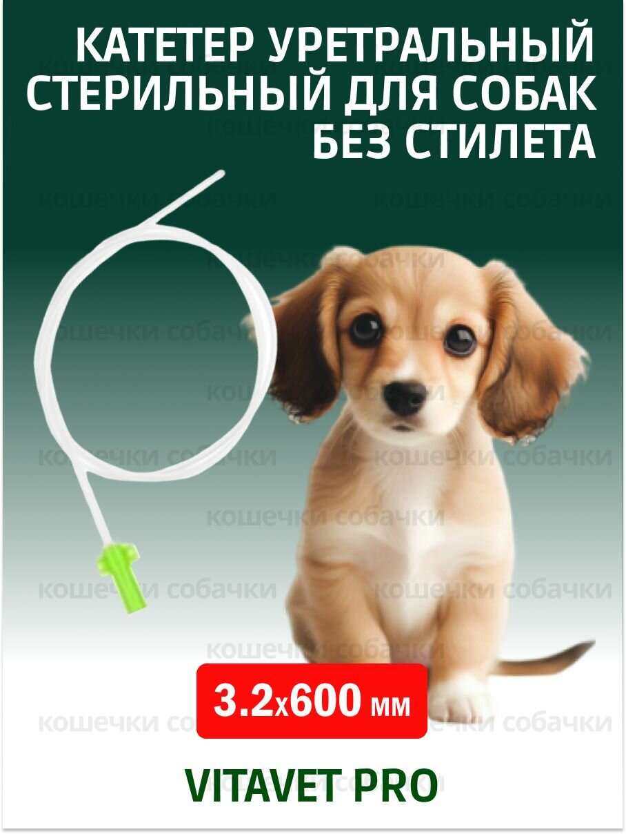 VitaVet PRO Катетер уретральный стерильный для собак 3.2х600мм без стилета