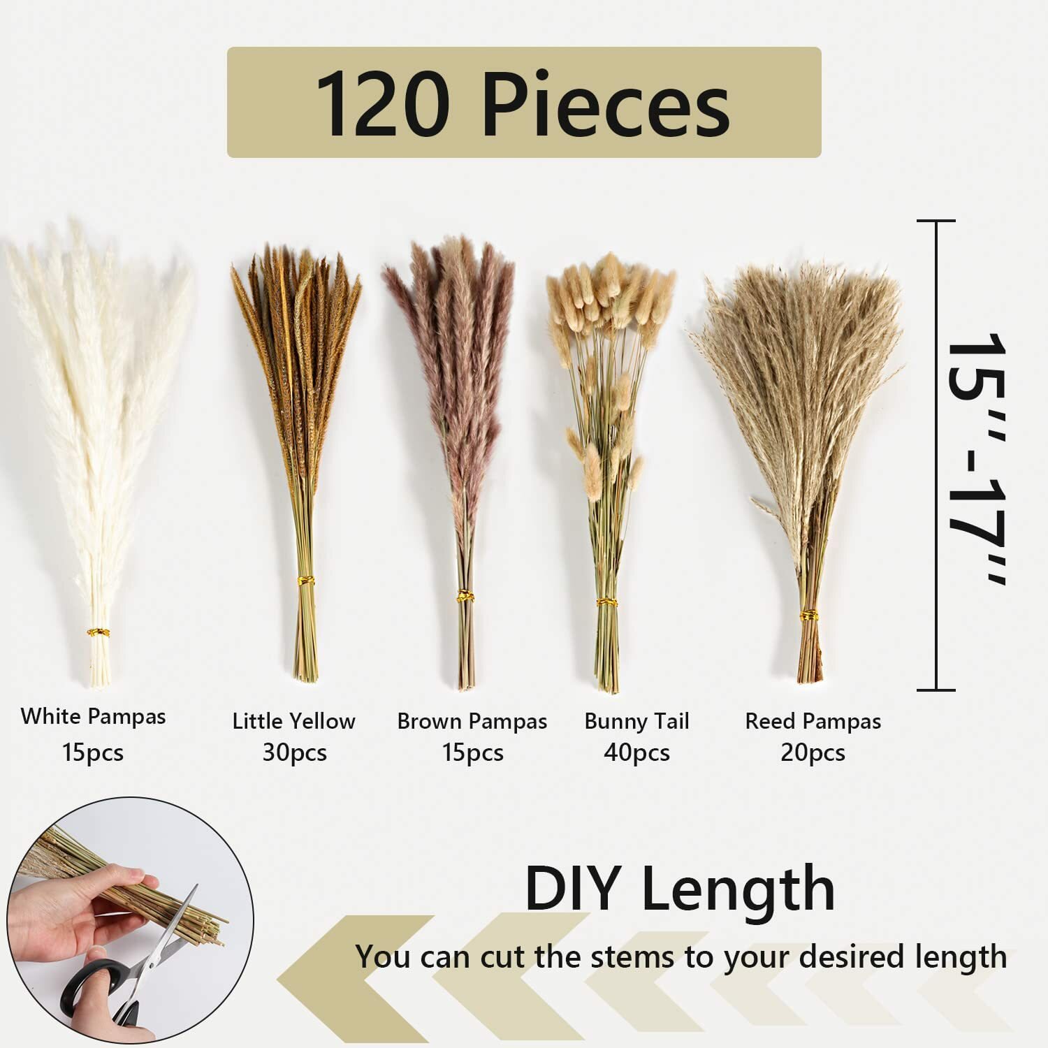 2026 Новейшая модель, оптовая продажа от производителя, маленький букет из сухих цветов, маленькая пампасная трава, сухие цветы для фотографии, домашний декор, воздушная сушка