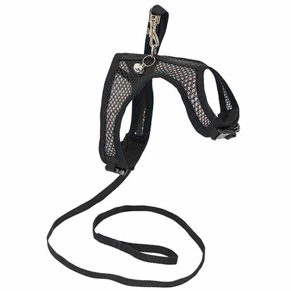 Комплект для животных Дарэлл аэро №8, шлейка, поводок, 3D-сетка, объем груди 34-40 см, для кошек, собак, черный