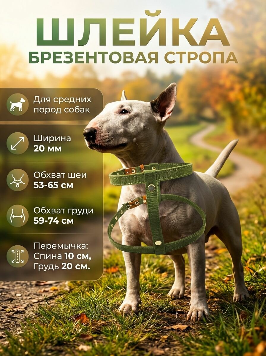 Шлейка брезентовая для средних пород собак и щенков. Ширина 20 мм.