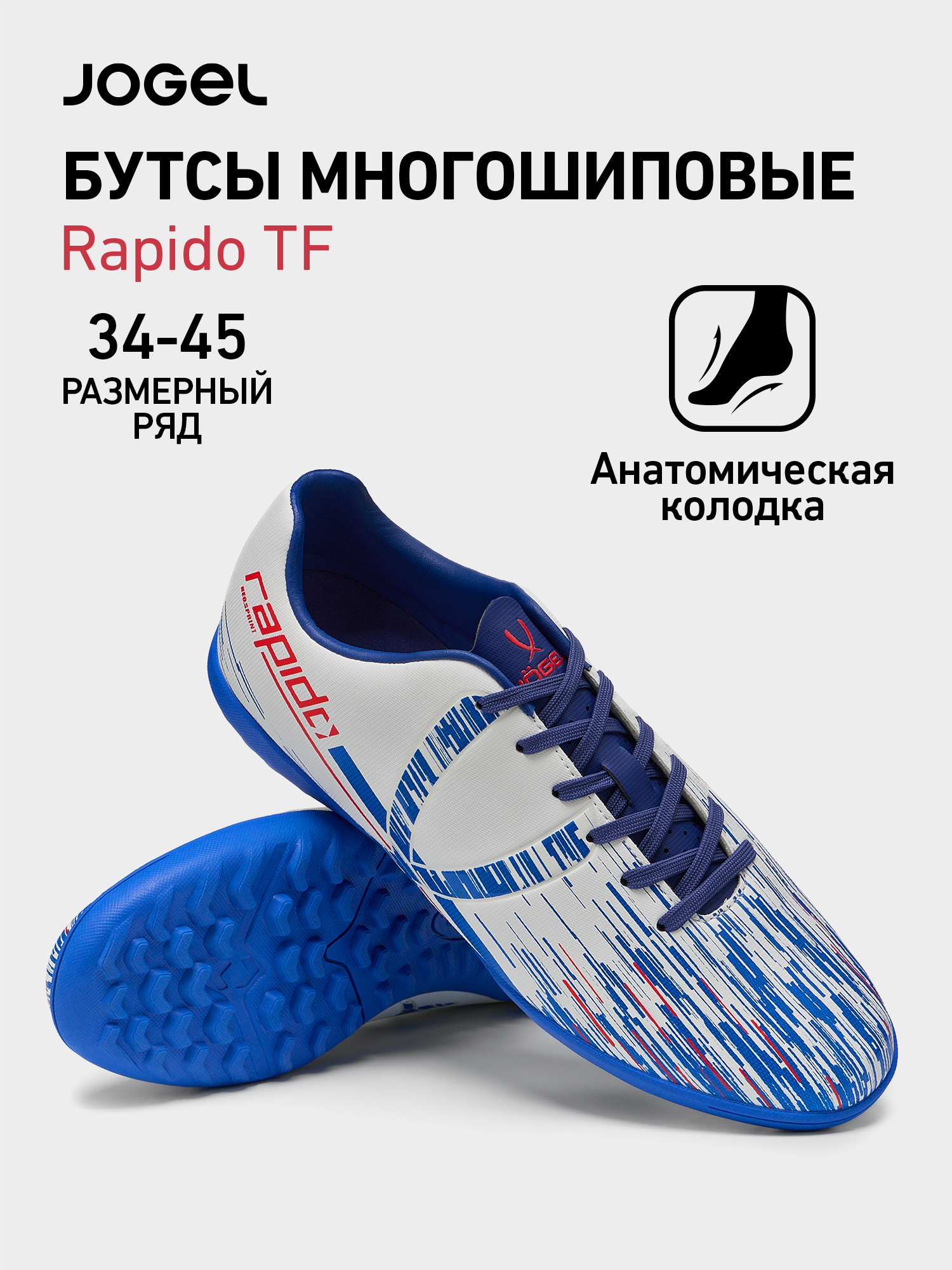 Сороконожки