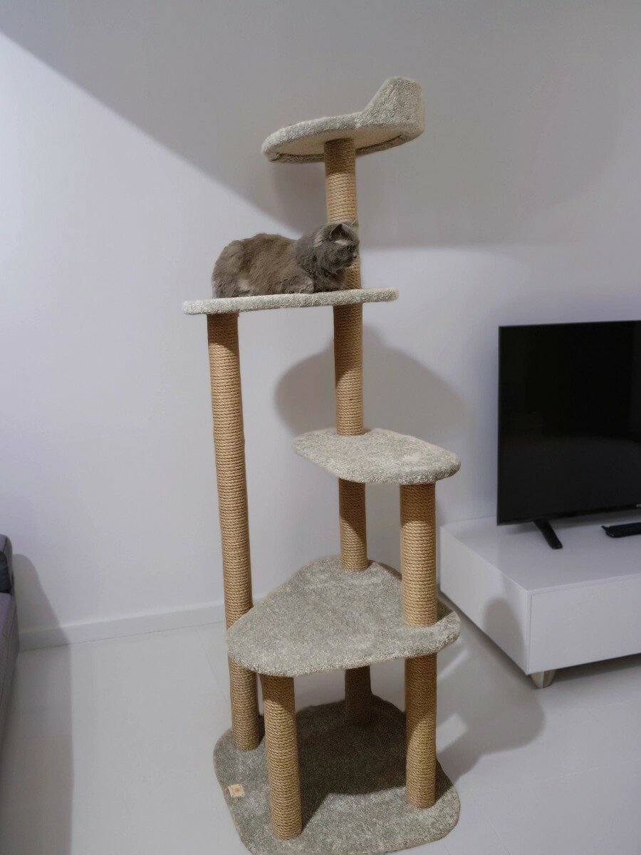 Игровой комплекс для кошек, Моя Котя, "Достучаться до небес", светло-серый ковролин и джут