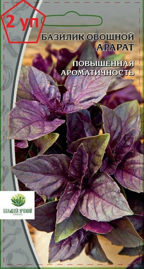 Базилик овощной Арарат Фиолетовый 2 упаковки