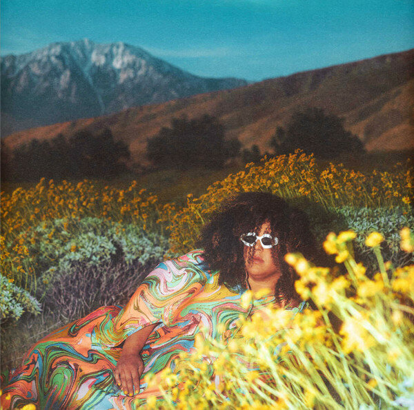BRITTANY HOWARD What Now (LP)