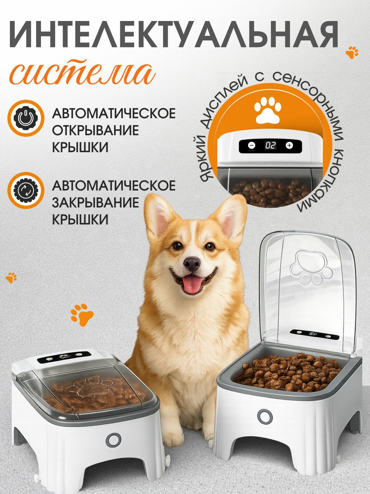 Автоматическая кормушка — фото 1