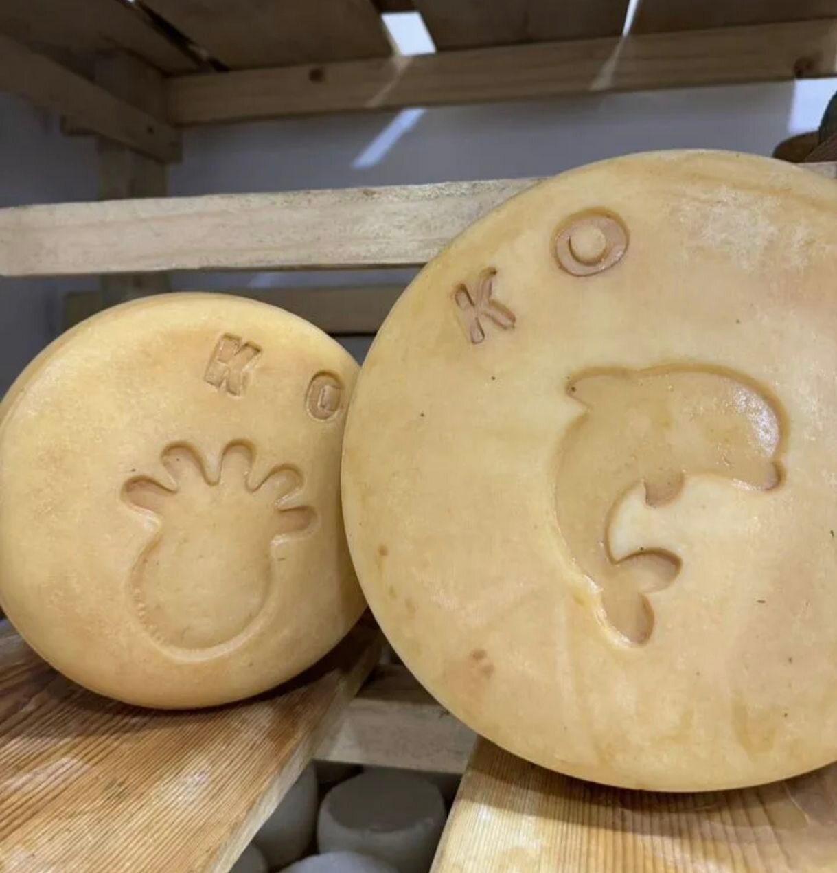 Сыр козий/овечий Шамо 2кг.