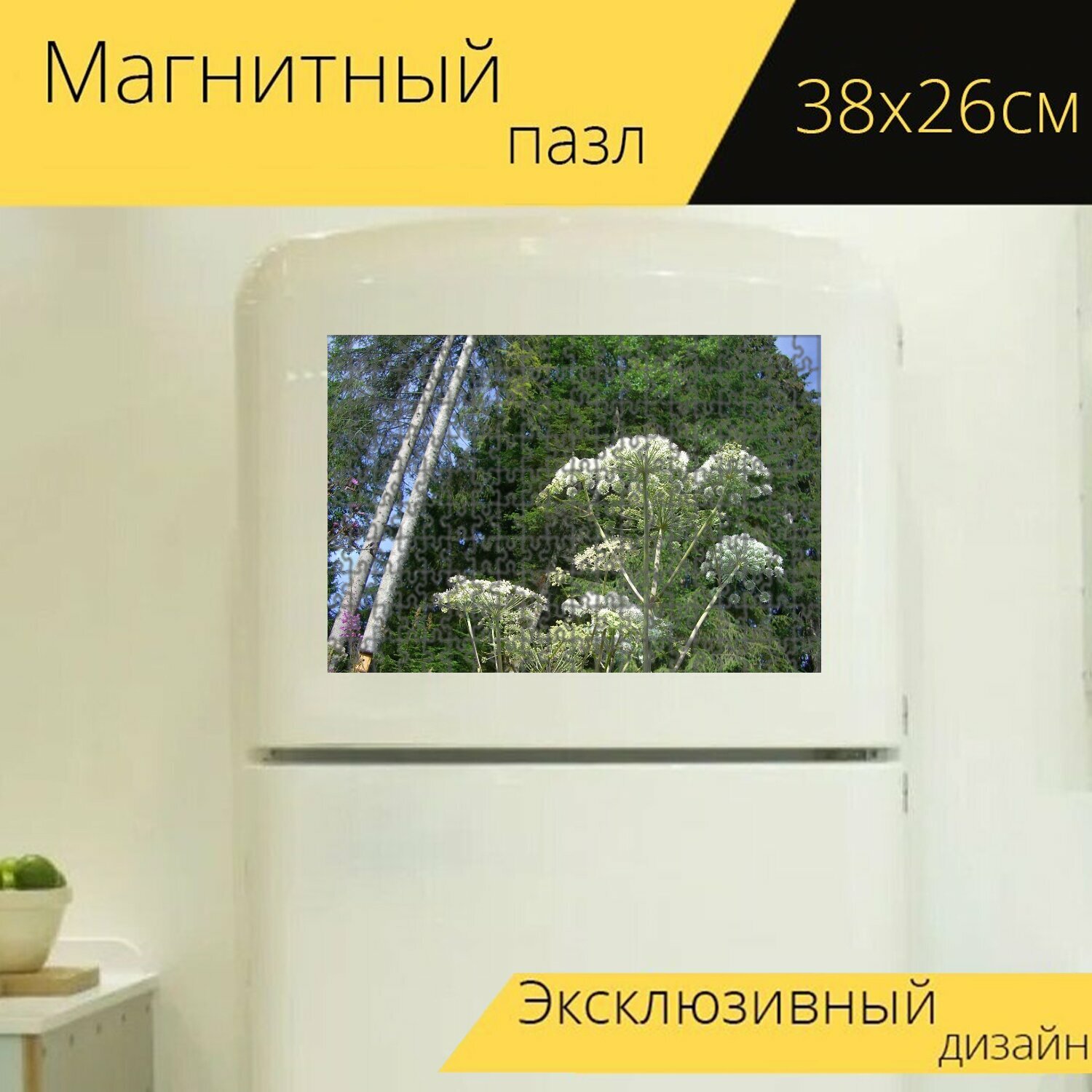 Магнитный пазл "Гигантский борщевик, борщевик, завод" для интерьера, 38х26 см.