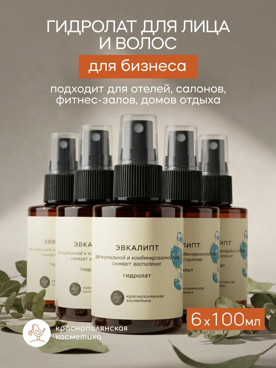 Краснополянская косметика Набор Спрей для тела, лица и волос, гидролат для лица и волос "Эвкалипт", для жирной и проблемной кожи, для бизнеса,100 мл, 6 шт. HoReCa