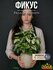 Фикус Сноушторм (Ficus Snowstorm) D10см, домашний цветок