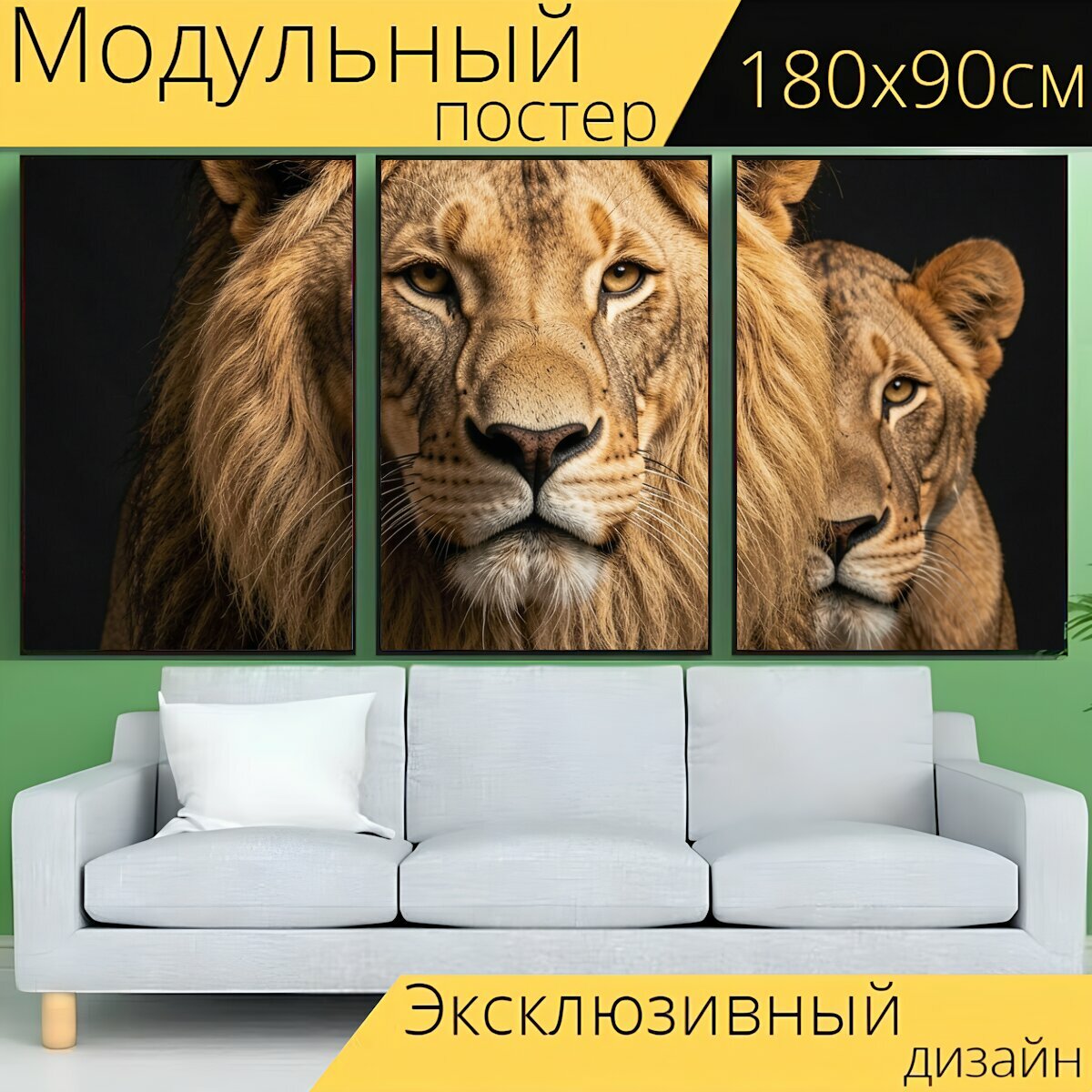 Модульный постер "Два льва на черном фоне. Фотореалистичная композиция с царственным хищником и молодой львицей, крупный план." 180 x 90 см. для интерьера на стену в тубусе