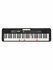 Синтезатор Casio LK-S250