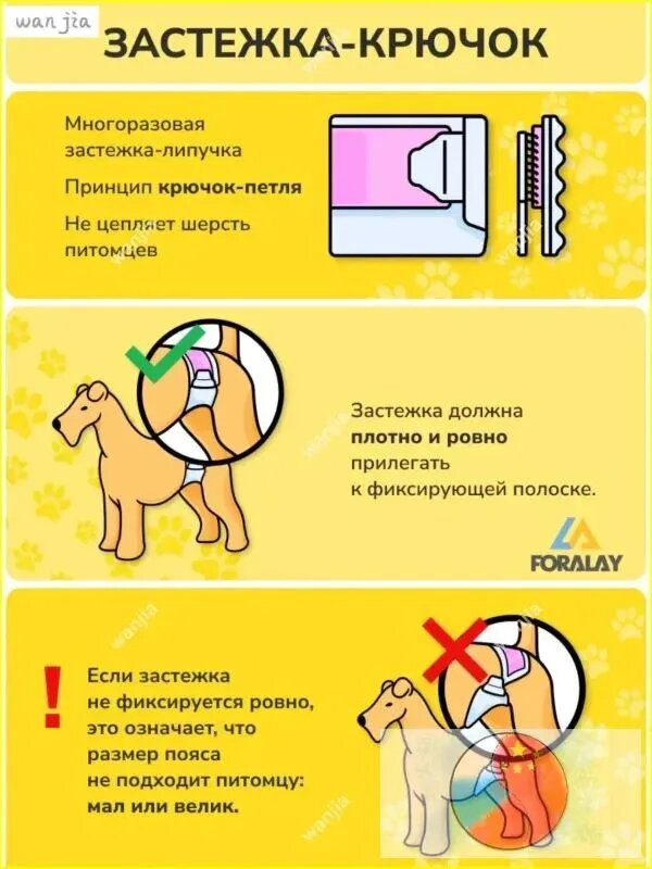 Подгузники для животных — фото 1