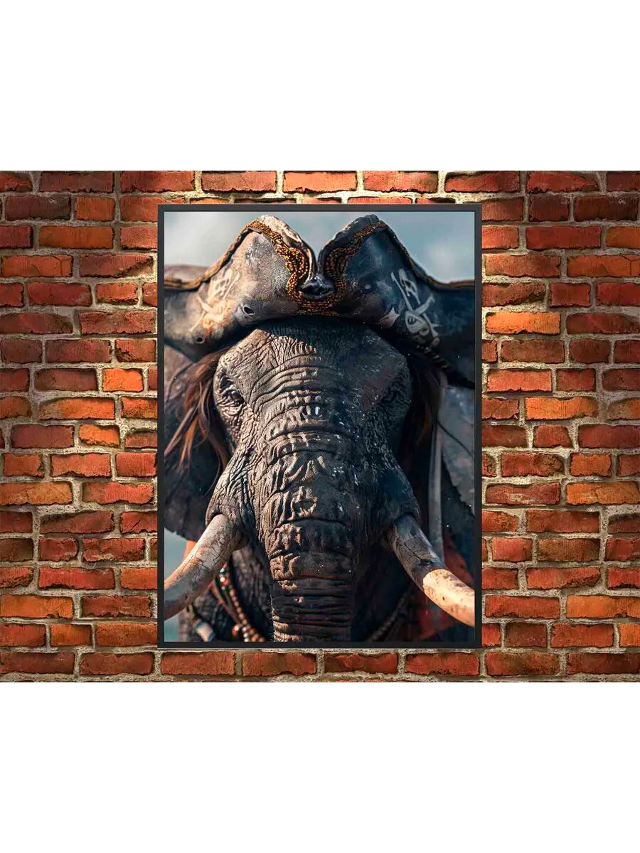 Африканский слон-животное-пират 2, Плакат 30x42см
