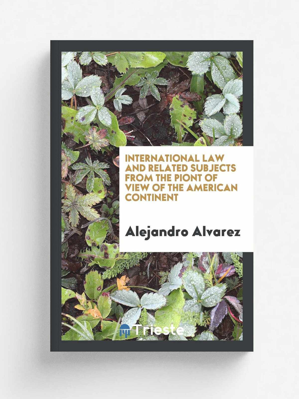 Pamphlet, Issue 48