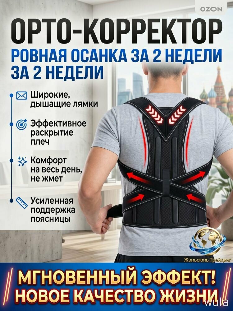 Тренажер для спины DPWL-019ba6b7b7887628baa99ee1fd8-ndmg