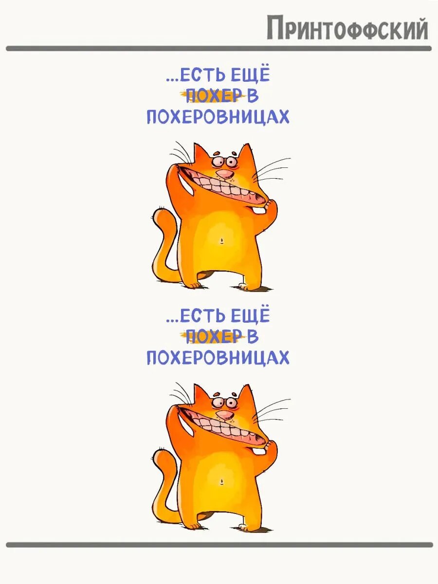 2-е (Две) Термонаклейки с надписью есть еще порох кот