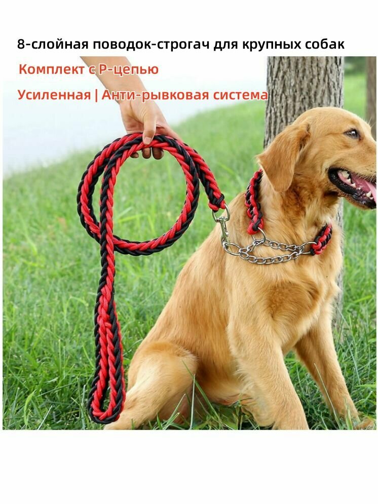 Высокопрочный нейлоновый 8-слойный поводок + набор цепных ошейников P для крупных собак, усиленный строгач, анти-рывковый поводок для больших собак