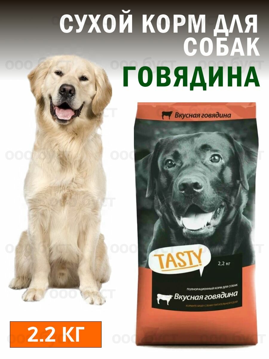 Tasty сухой корм для собак со вкусом Говядины 2,2кг