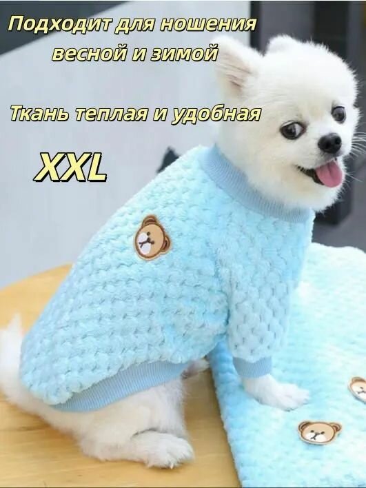 Одежда для собак и кошек весенне-осенняя утеплённая с флисом, утолщённая, для той-пуделей и других домашних животных, размер XXL