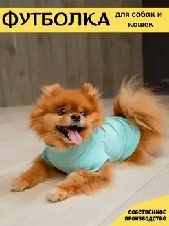 ZooTwoNati Майка для кошек и собак мятная, разм S(25)