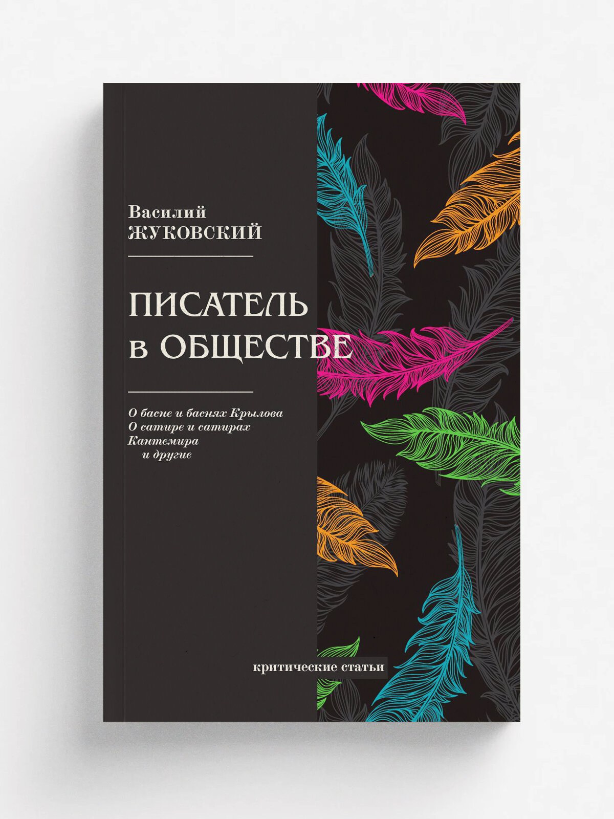 Писатель в обществе
