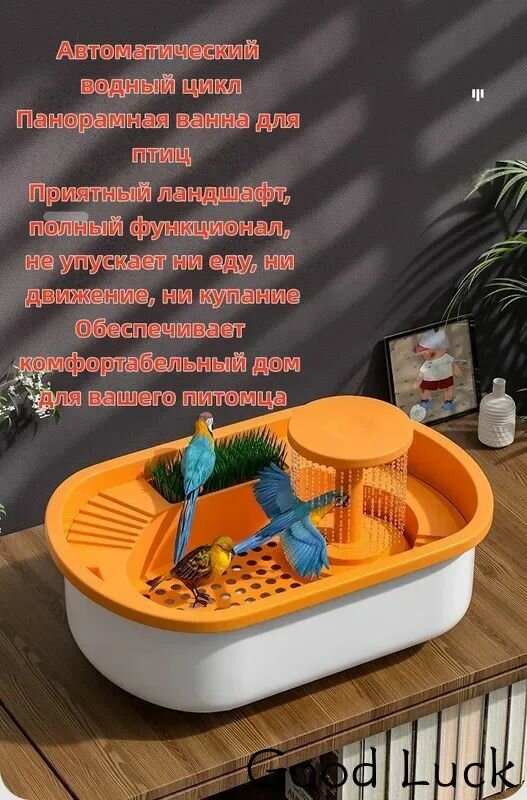 Купалка для попугаев: автоматическая ванночка с циркуляцией воды
