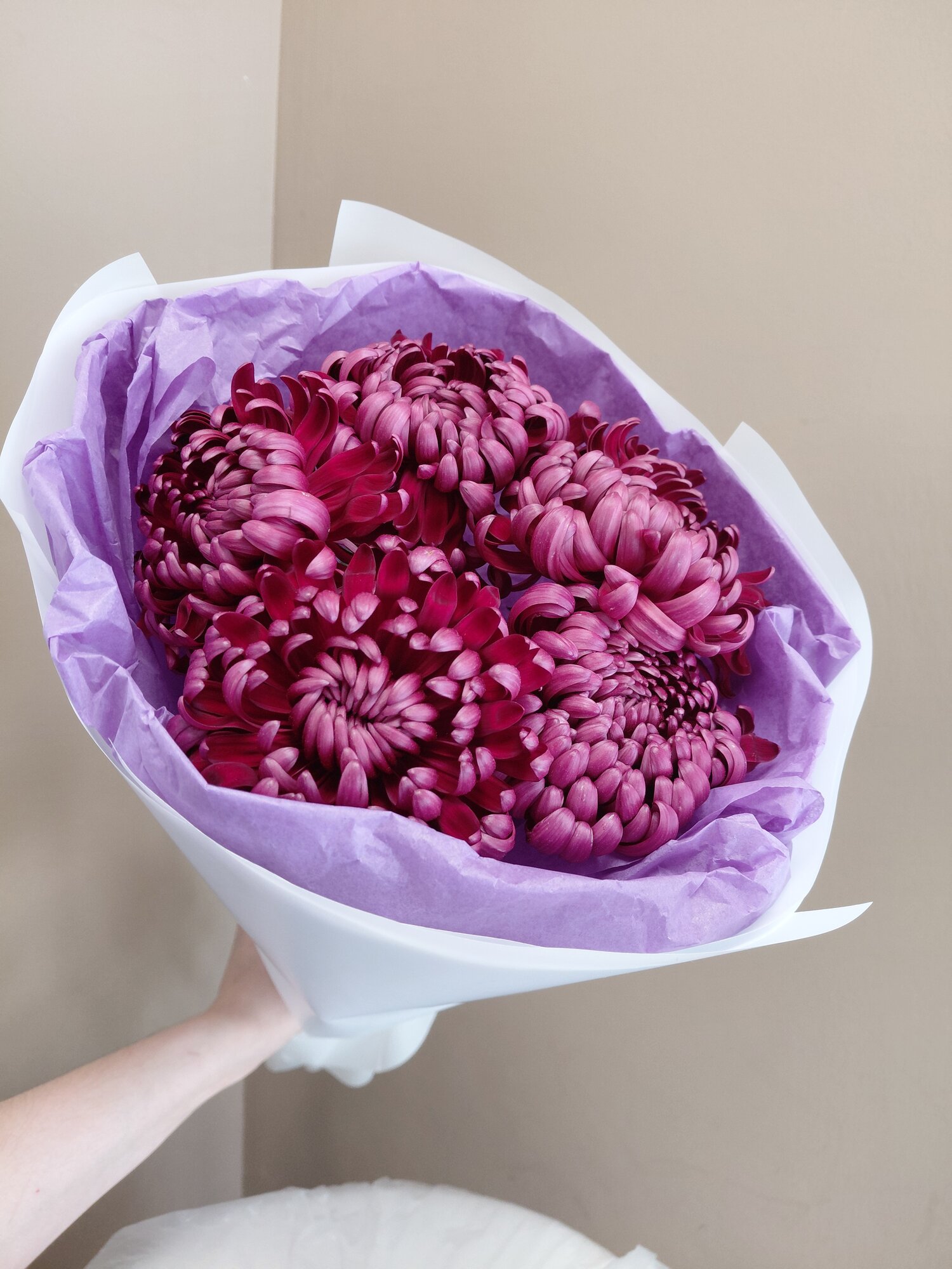 Шикарные винные хризантемы в эффектной авторской упаковке с лентой и тишью.