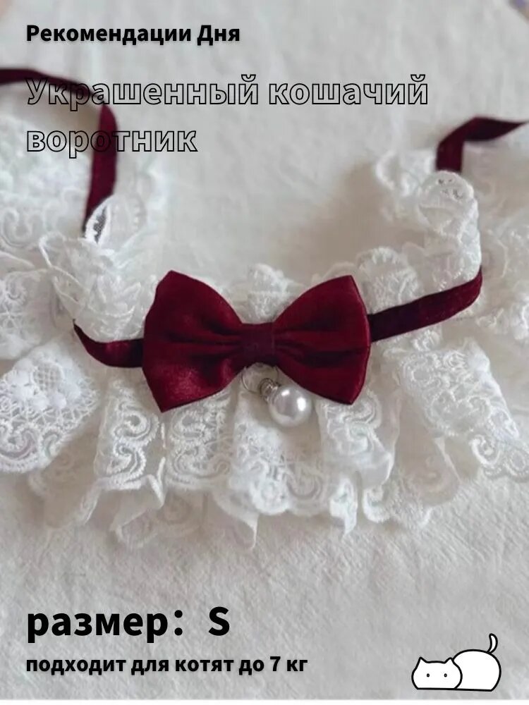 Бабочка для кота