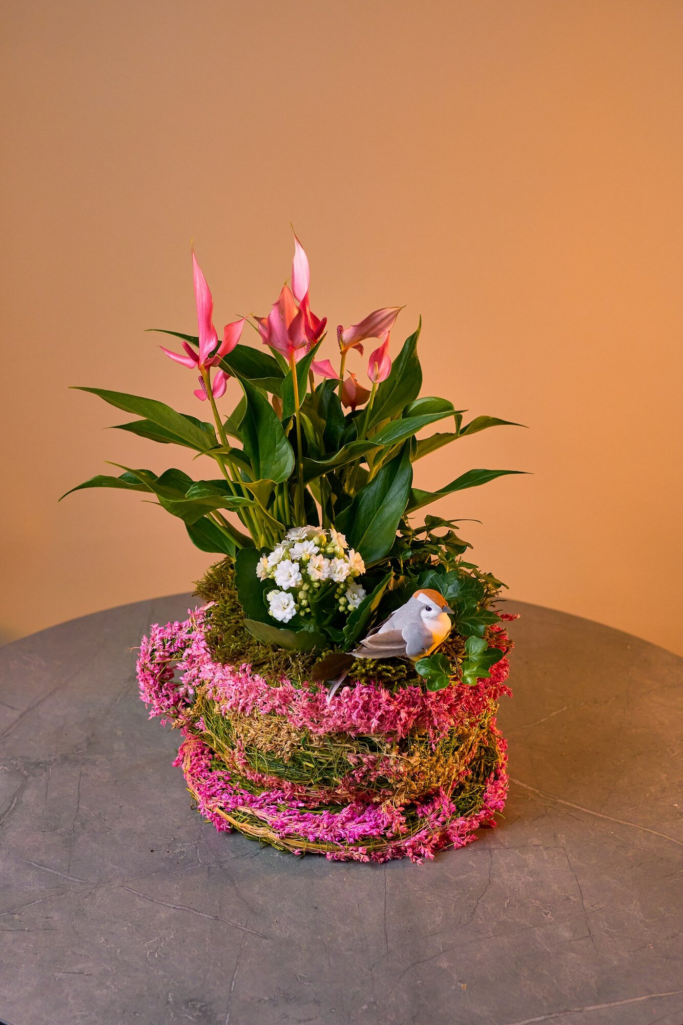 Композиция «Розовая весна» (Антуриум, Каланхоэ, Хедера) от бренда Margo Plants