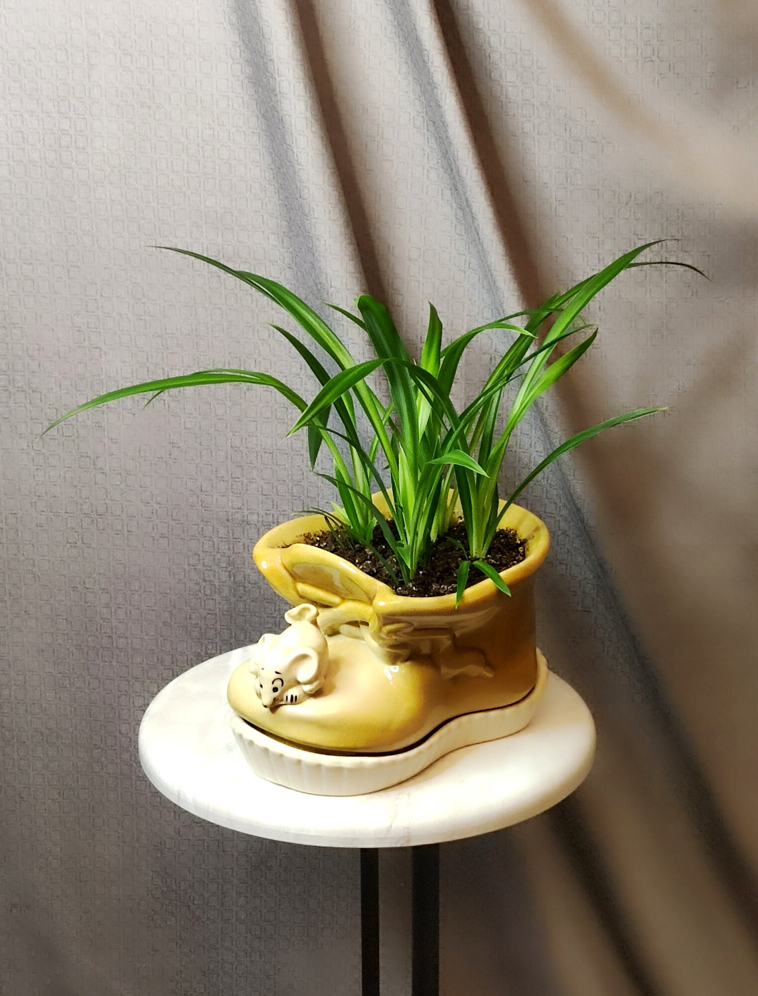 Хлорофитум. В оригинальном кашпо. Растение пересажено. Высота 15см.