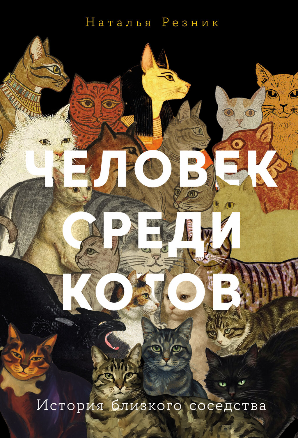 Человек среди котов: История близкого соседства (электронная книга)