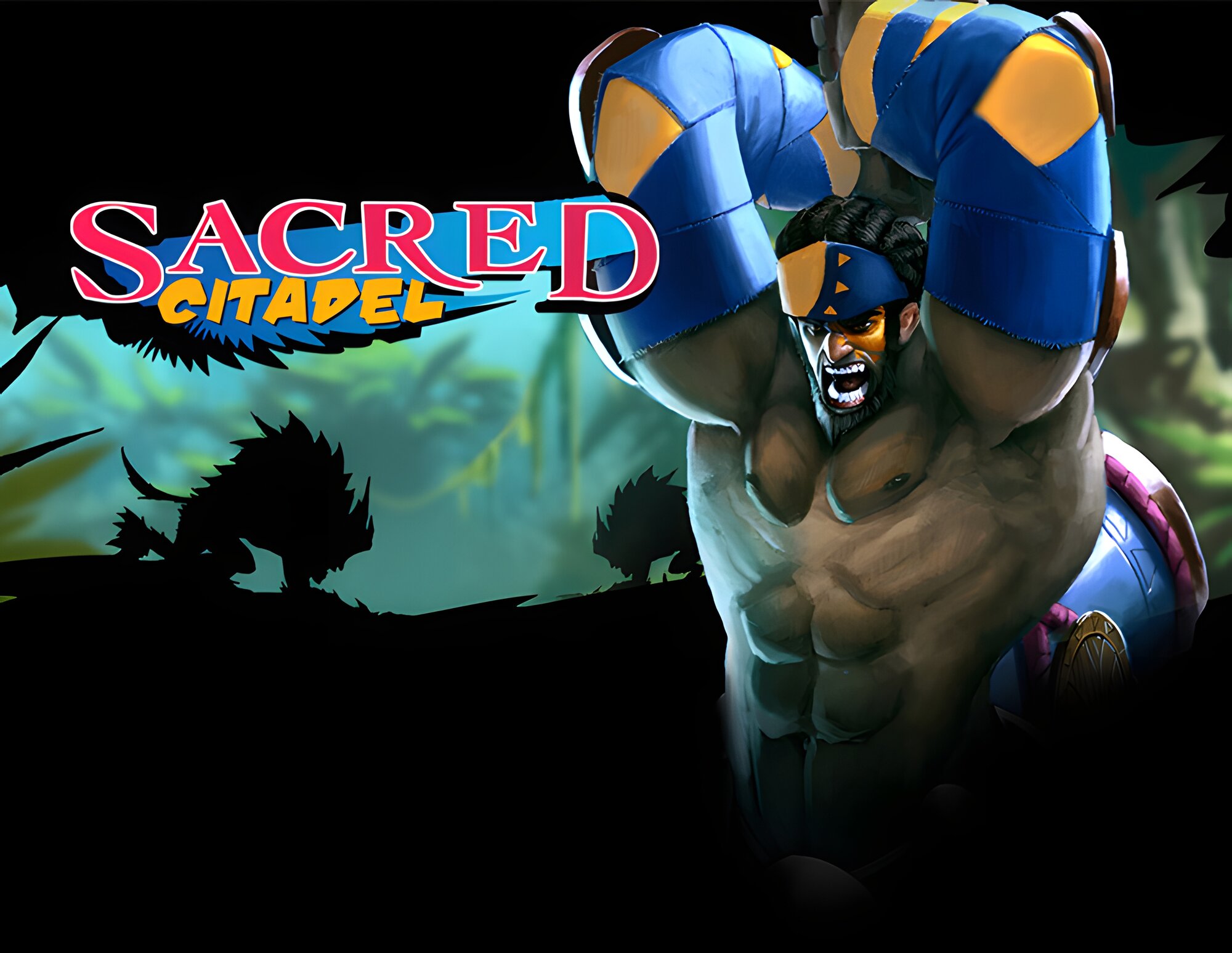 Sacred Citadel, Koch-Media, цифровая версия, Steam (Для платформы PC)