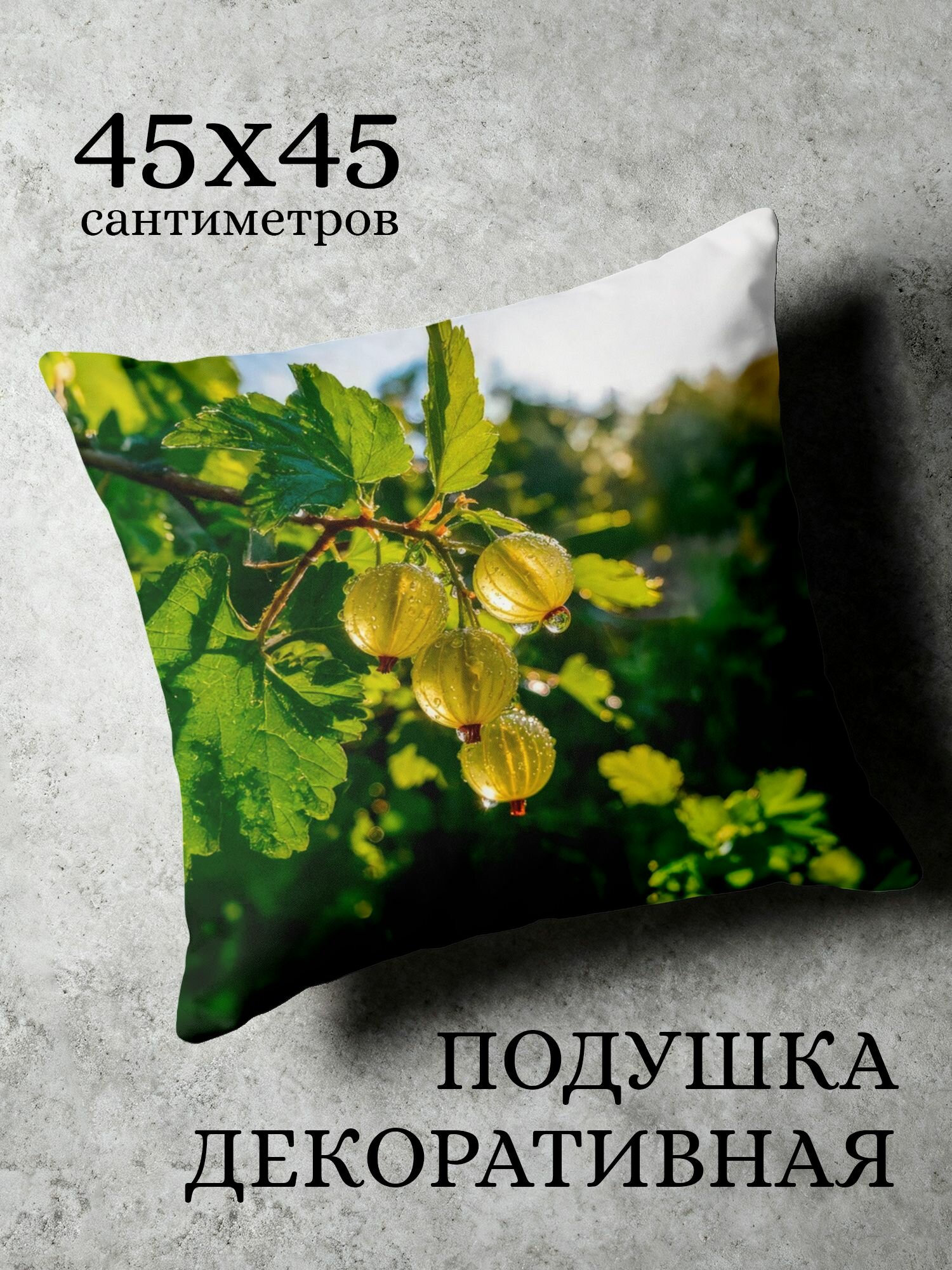 Подушка декоративная с принтом, 45x45см / Крыжовник солнце и роса