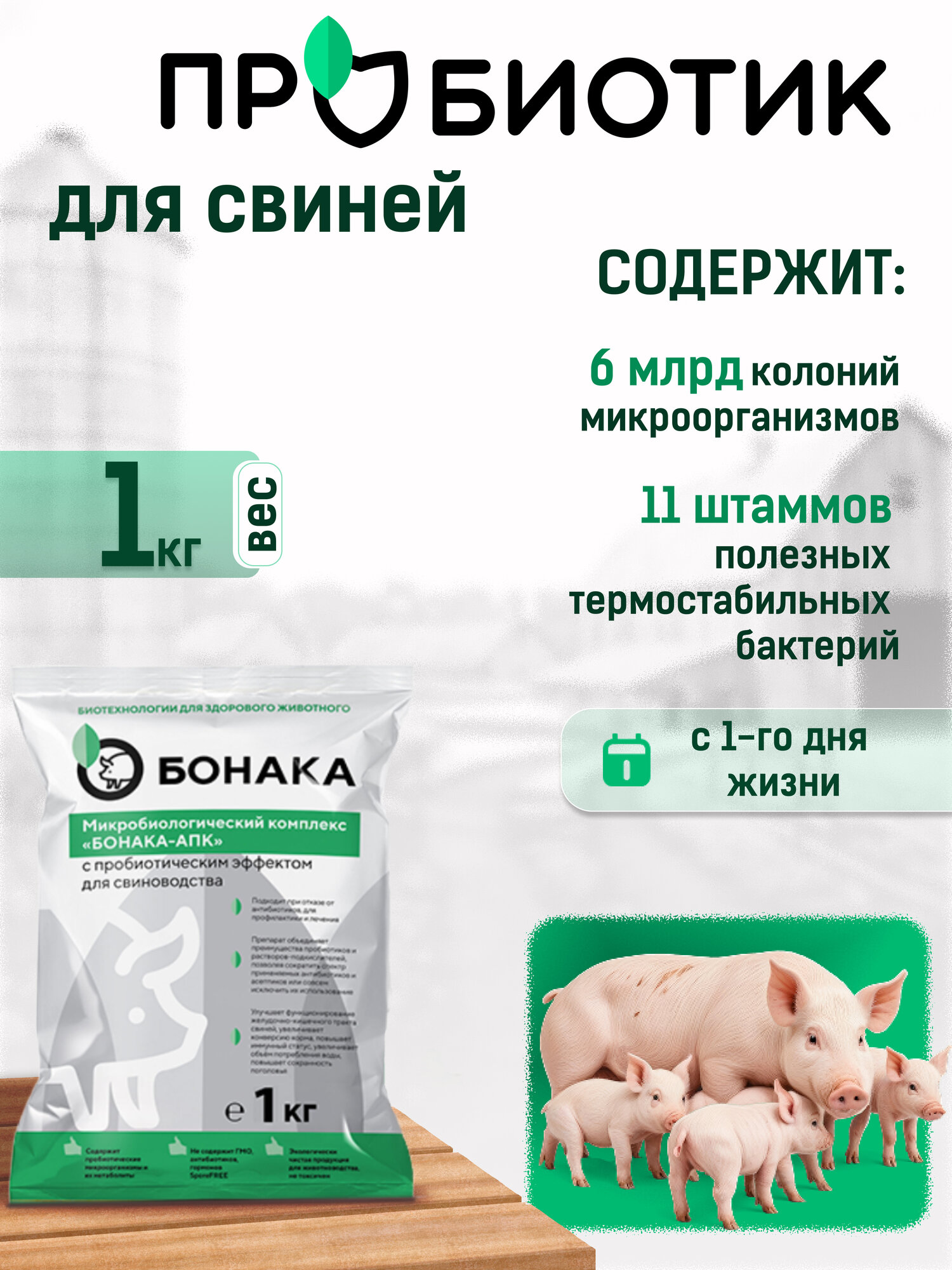 Кормовая добавка для свиней Пробиотик бонака-апк, сухая форма в корм, 1 кг