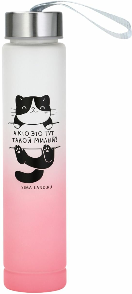 Бутылка для воды "Котя" многоразовая пластиковая, объем 300 мл, бутылочка с винтовой крышкой