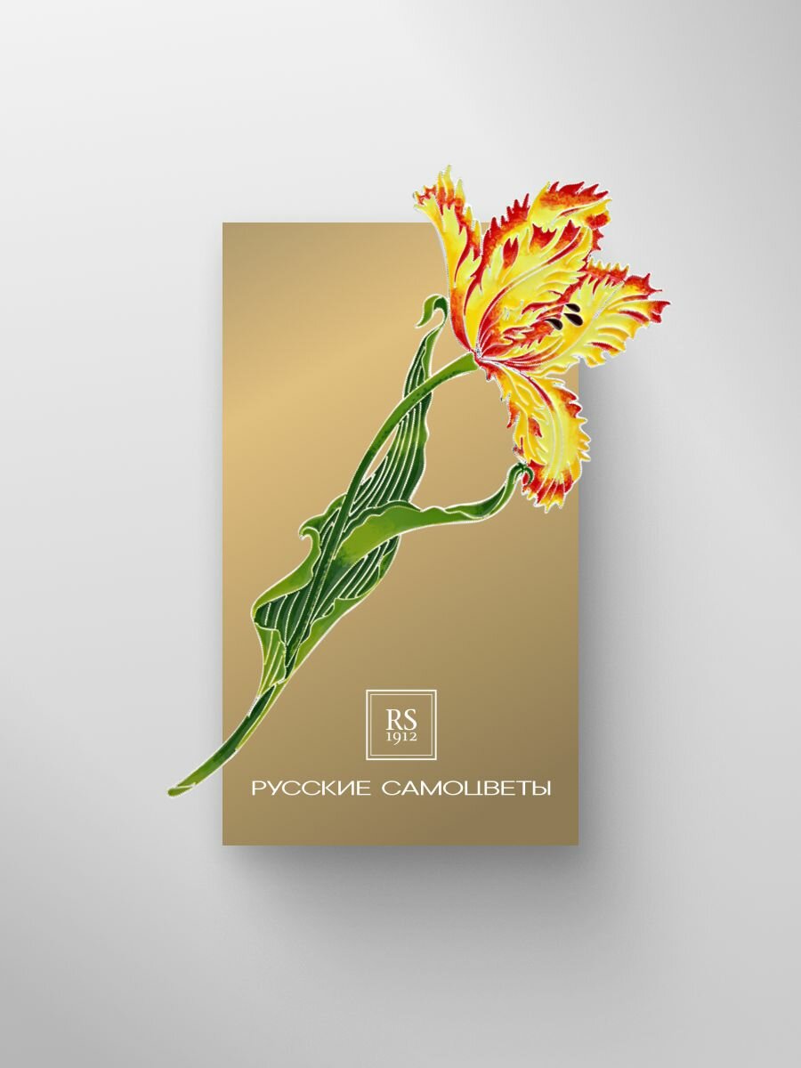 Брошь, серебро, 925 проба, эмаль