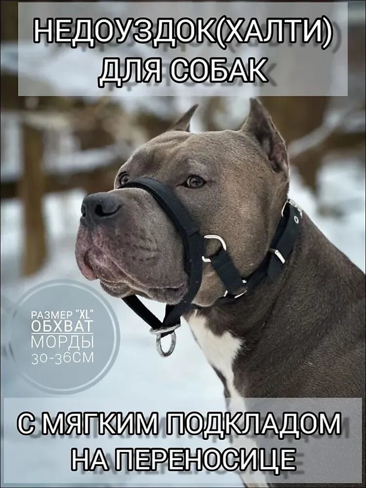 Недоуздок(халти) TESLA COLLAR для собак "XL"