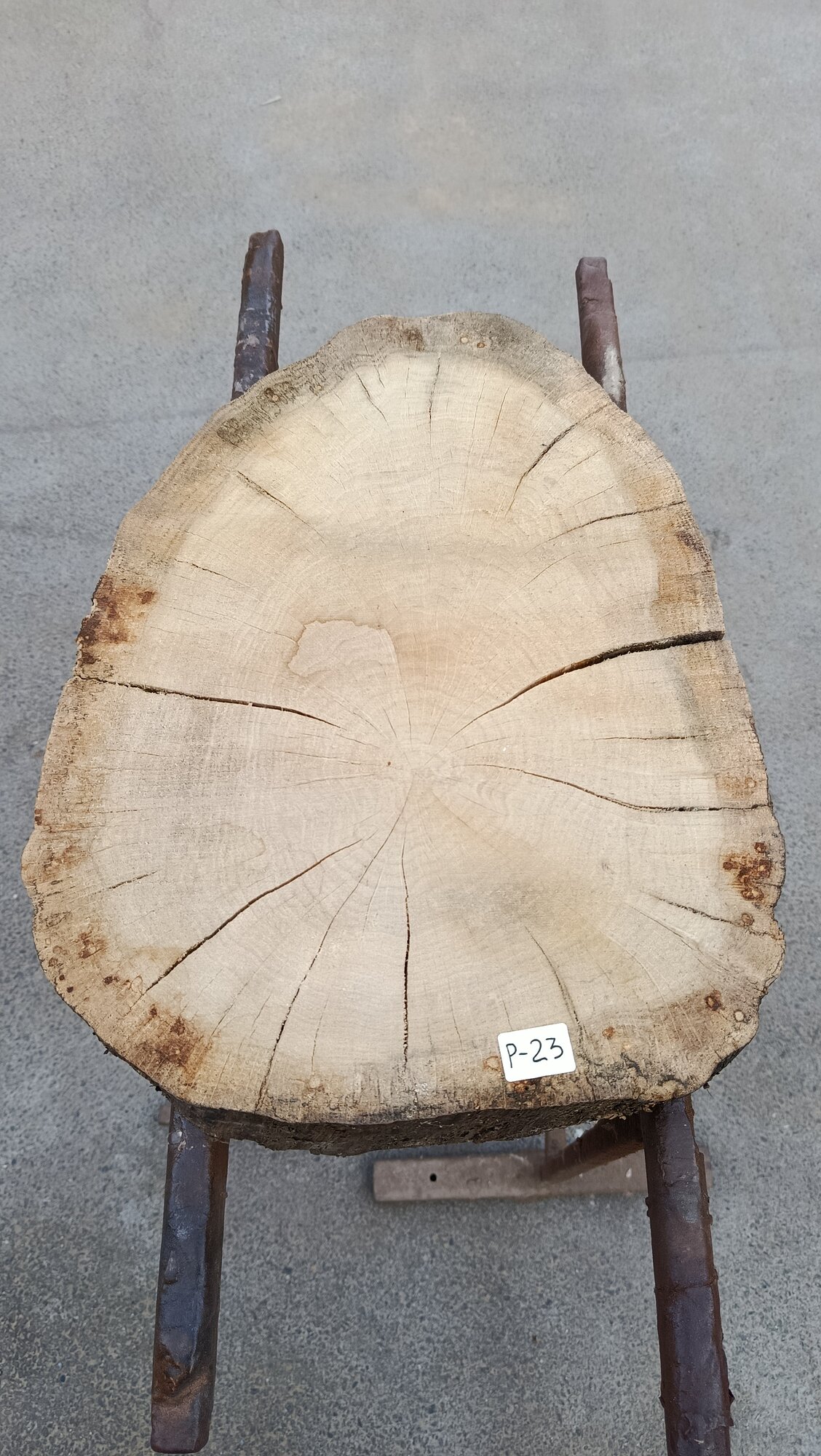 Спил из массива дуба 35х47х7см(Р23) высушенный и не фрезерованный