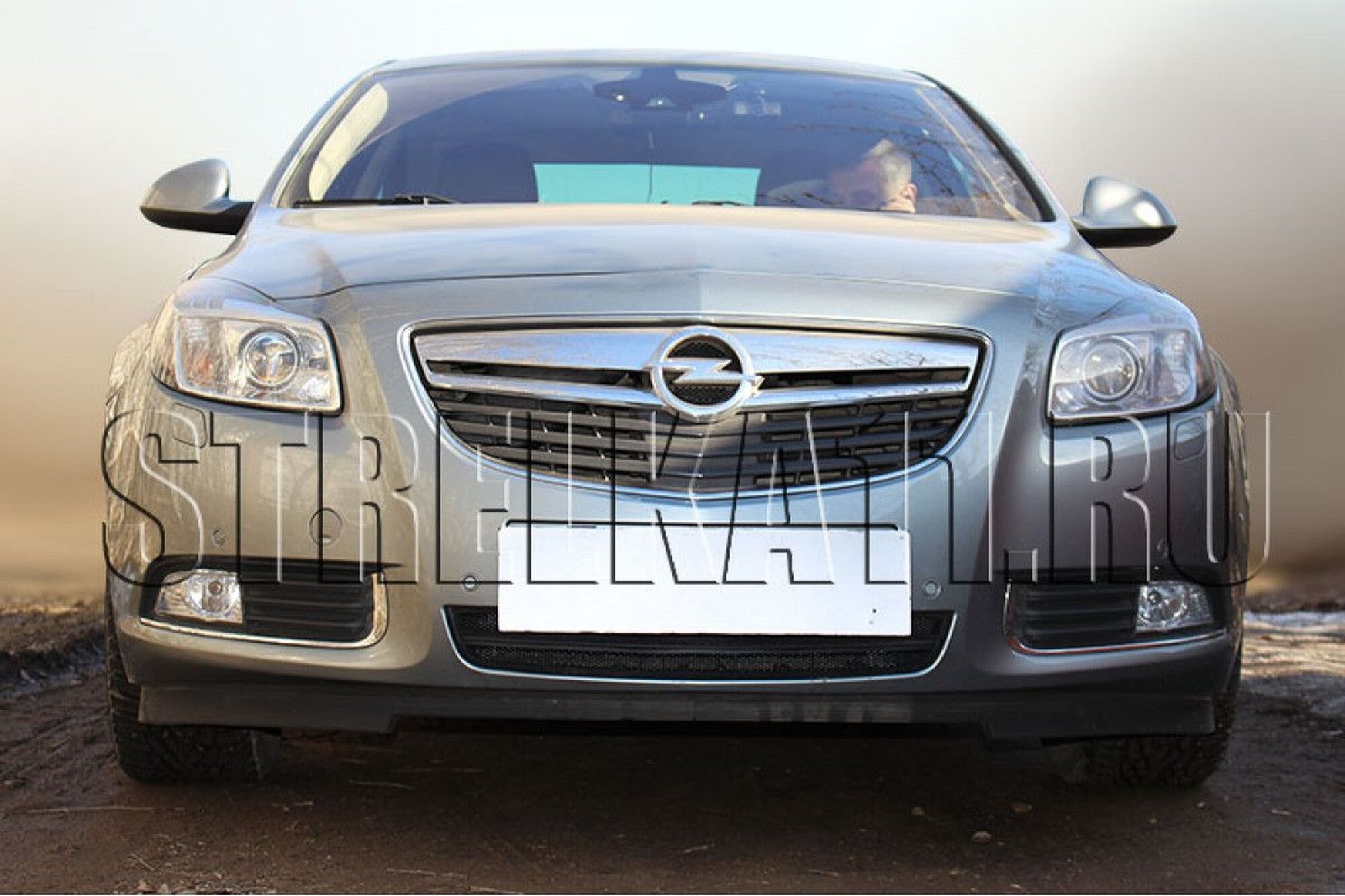 Защитная сетка радиатора с окантовкой и защелками для Opel Insignia 2008-2013 (I), низ, 2шт