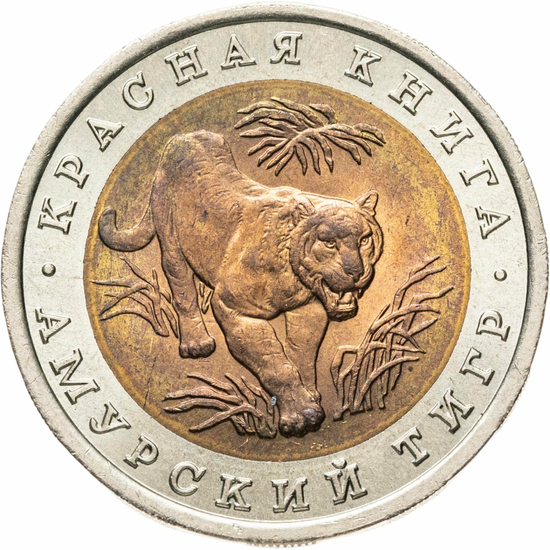 10 рублей 1992 ЛМД "Амурский тигр", Биметалл, в сохранности AU-UNC