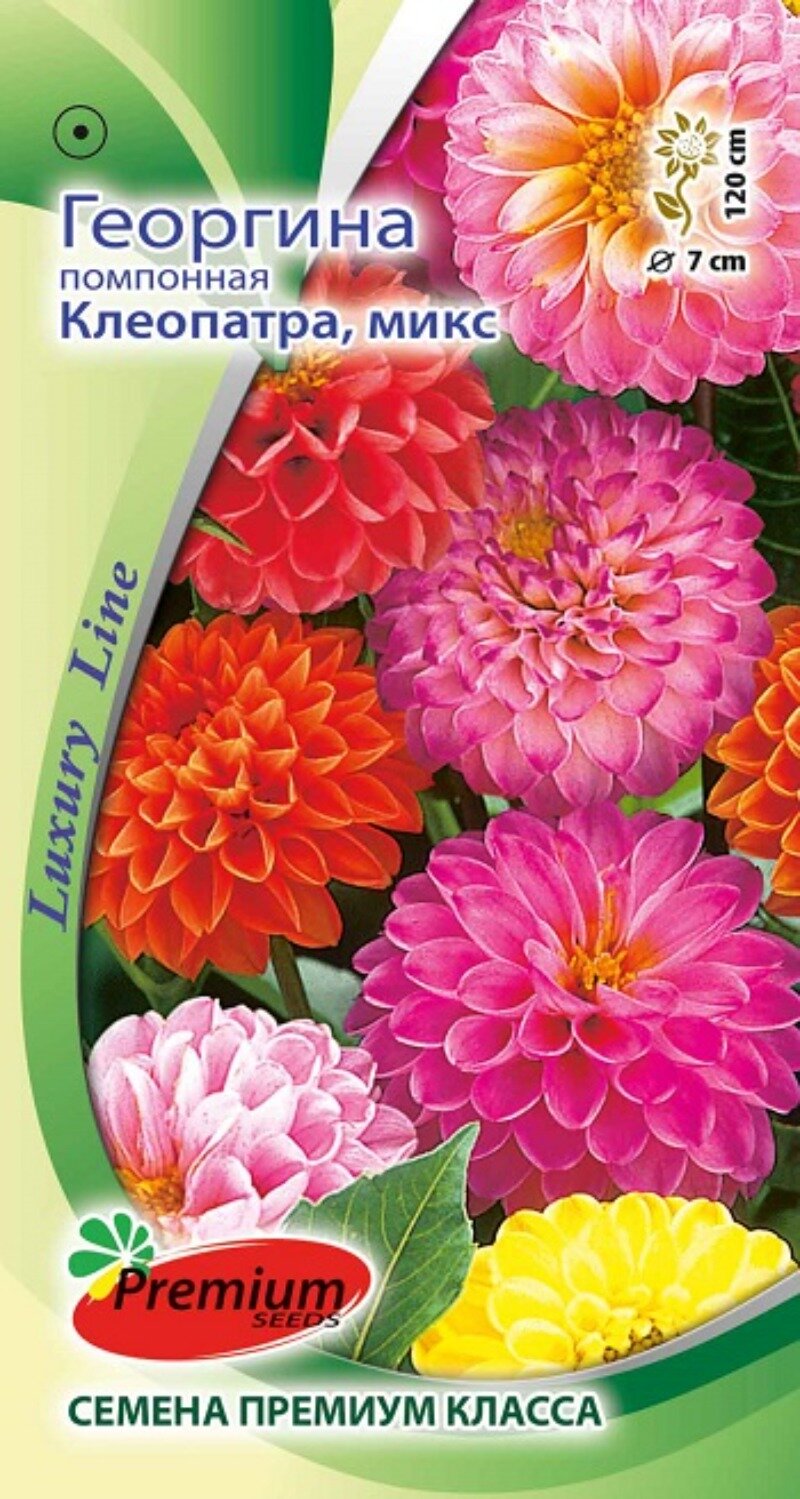 Семена Георгина помпонная Клеопатра смесь (0,1 г), Премиум Сидс
