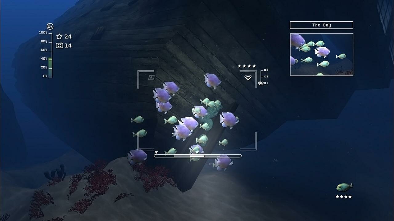 Reef Shot Steam Ключ • Активация Steam • регион Весь мир • цифровой ключ