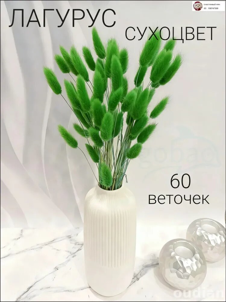 Сухоцветы Лагурус, 55 см, 100 гр, 60 шт