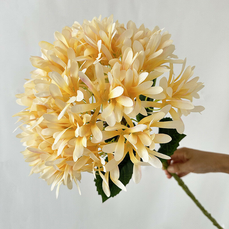 Silk hydrangeamacrophylla цветы для дома и фотодекора с яркими цветами шампанское