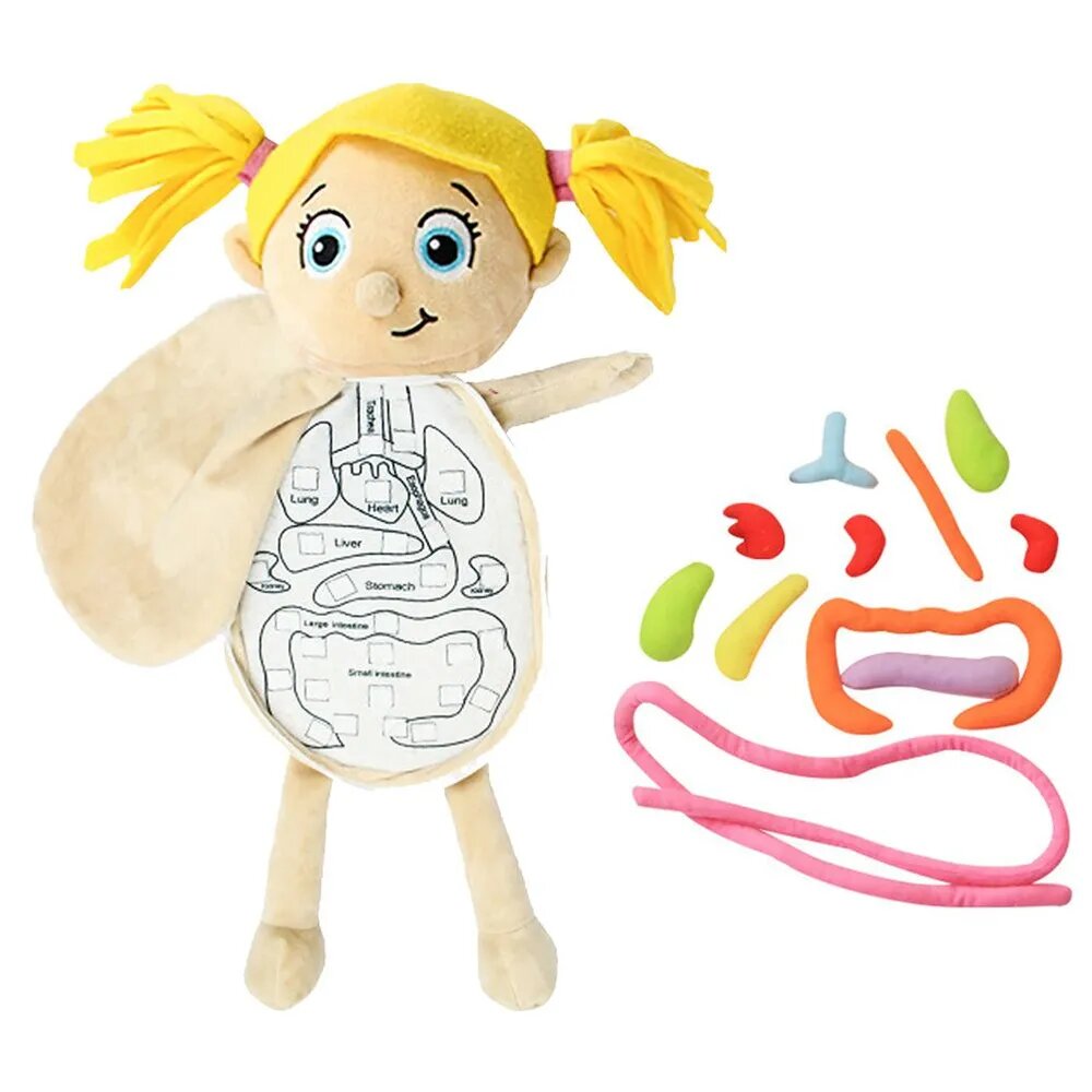 Анатомическая кукла с органами, плюшевая