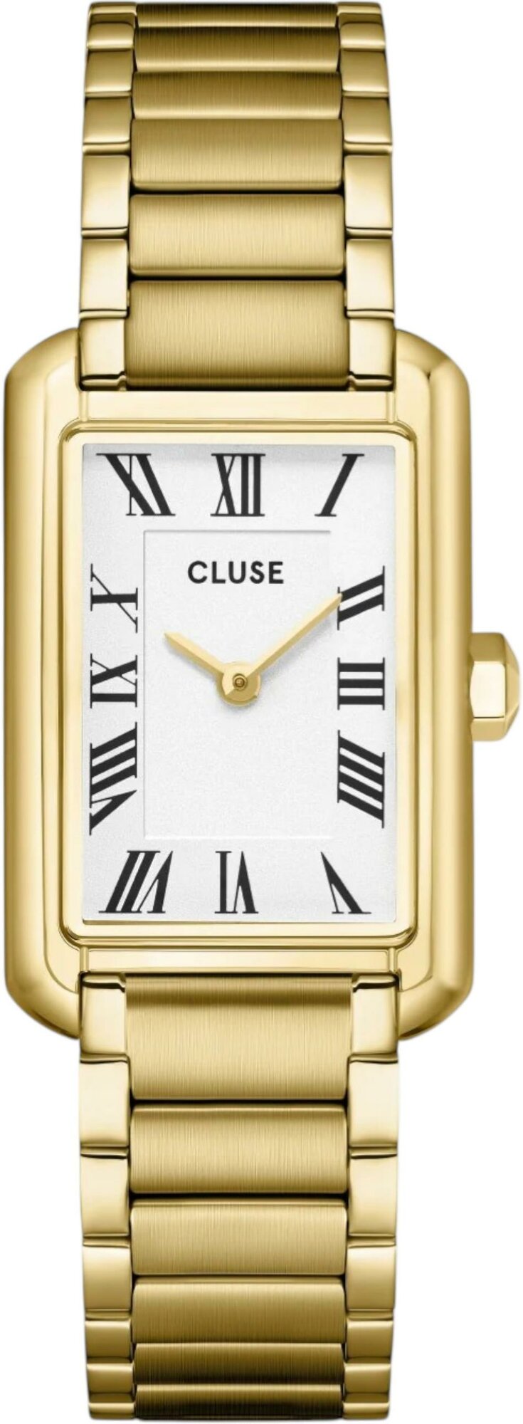  Cluse
