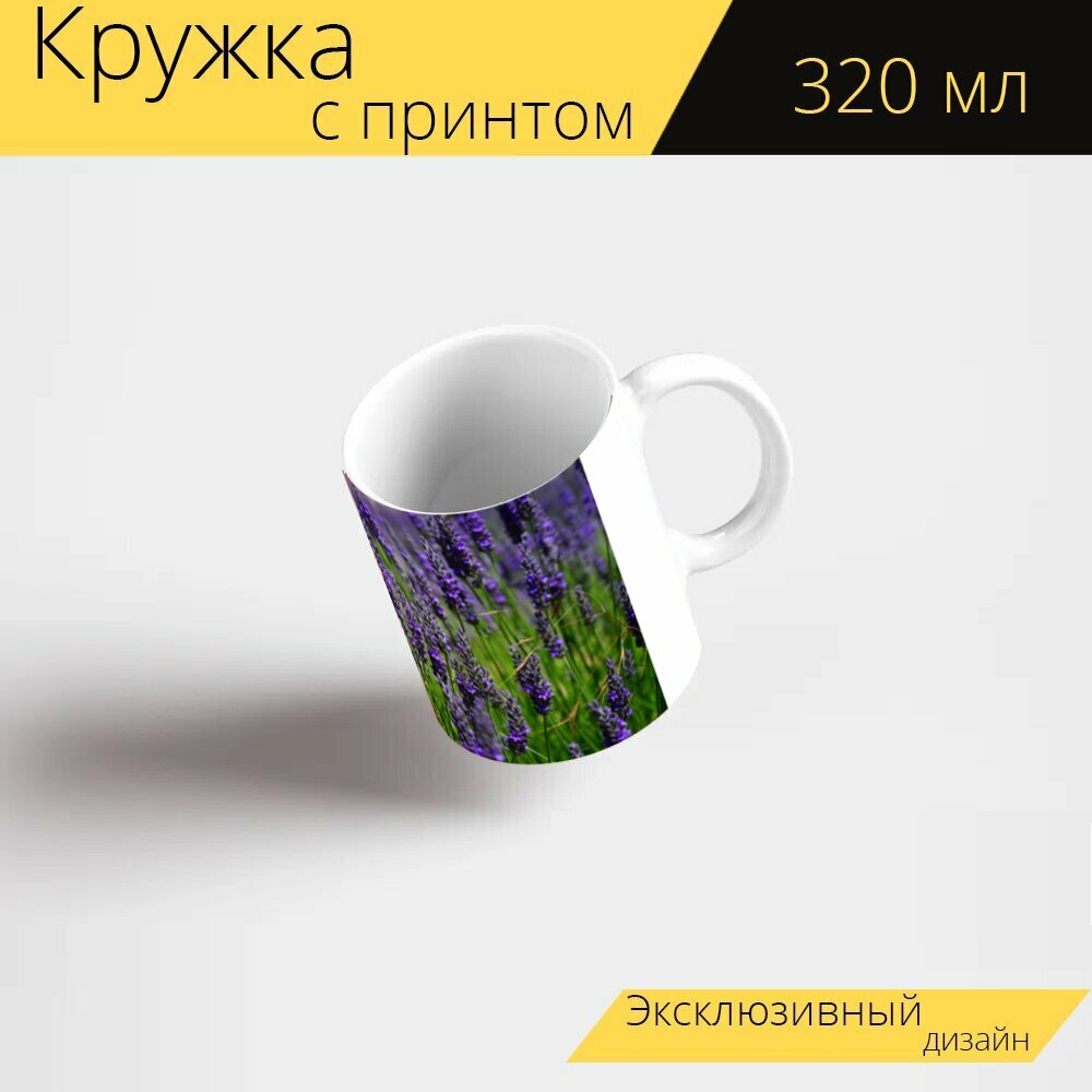 Кружка с рисунком, принтом "Цветы лаванда, синий, расцветает" 320 мл.